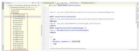 data access 之 mybatis plus（三） mpg代码生成器（part b） 阿里云开发者社区