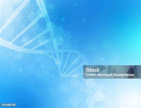 Dna 나선형 분자 추상 다각형 와이어프레임 Dna 분자 나선 나선형 의학 유전 생명 공학 화학 생물학 유전자 세포 개념 벡터 설계 건강관리와 의술에 대한 스톡 벡터 아트