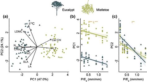 A Principal Components Analysis Of Leaf Traits In Mistletoes Circles Download Scientific