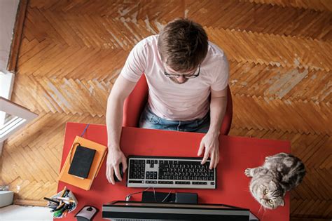 남자는 자신의 사랑스러운 고양이 옆에 컴퓨터에 집에서 원격으로 작동합니다 전염병 동안 자기 고립의 개념 생활방식 격리에 대한