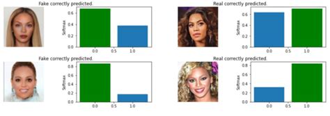 Prediction Example Of The Model Download Scientific Diagram