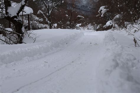 ონის მუნიციპალიტეტის ონის მუნიციპალიტეტის საკრებულო