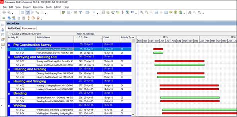 Primavera P6 Resources And Resource Allocation What Is Resource Allocation