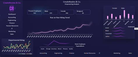 Himanshu Aggarwal On Linkedin Tried Basic Excel Dashboard Following Visuals Do Not Represent
