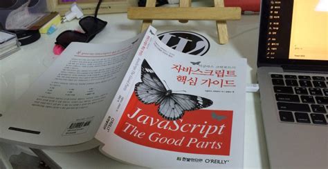 자바스크립트 핵심 가이드 Javascript The Good Parts 너구리 인프런 Hyung Joo