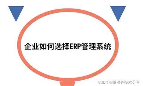 Java版本erp管理系统源码 Spring Cloud Erp系统 企业erp系统开源erp Java Csdn博客