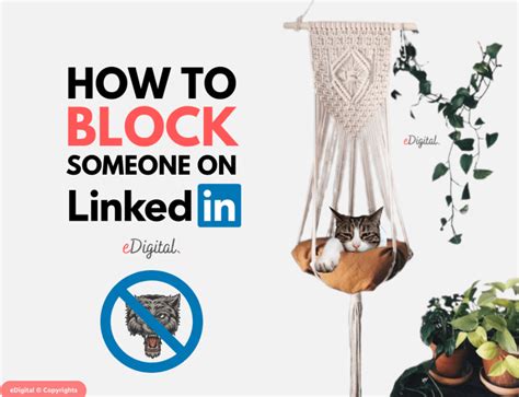 How To Hide Your Email Address From Linkedin Connections Steps Edigital Agency