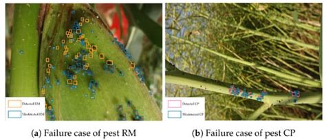 Agripest A Large Scale Domain Specific Benchmark Dataset For Practical Agricultural Pest
