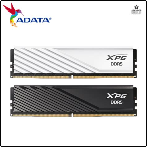 [an213] Adata Xpg Lancer Blade Ddr5 Memory Moudle Single Tray Desktop Memory 16gb 32gb 6000mt S