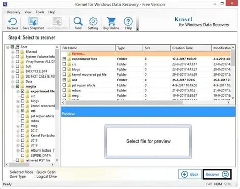 Kernel For Windows Data Recovery Full 2025 Review