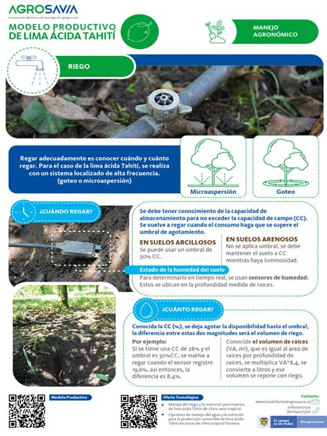 Ver Documento 37228 Pdf