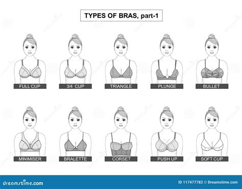 Types Of Bras Big Vector Set Of Colorful Lingerie 288519553