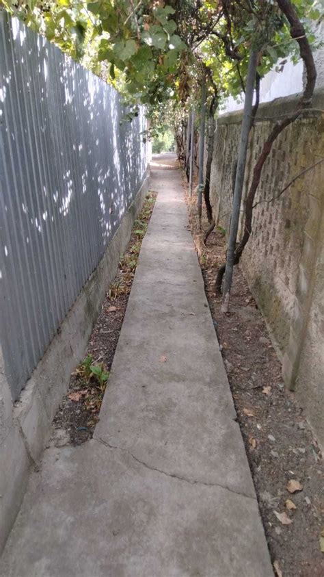 Casa De Vanzare In Catelu Catelu • Olx Ro