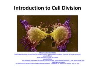 Cell Division PPTX