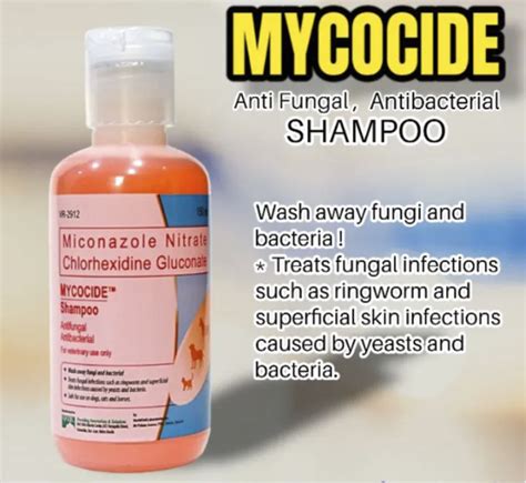 What Shampoo Should I Use For Ringworm At Ruth Hurley Blog