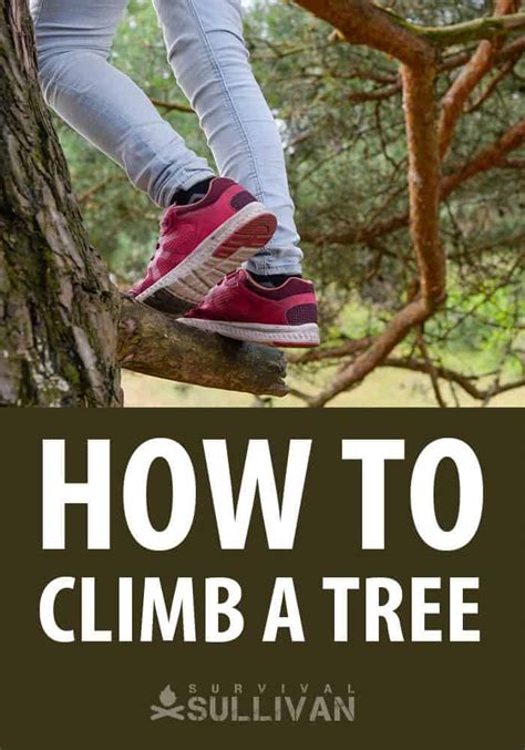 How To Climb A Tree