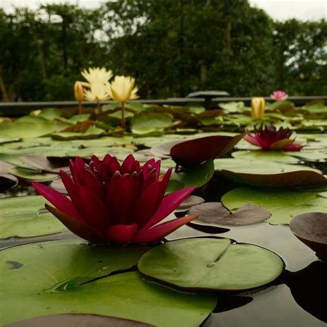 Ae9 Ec137 7 F02 4301 9 C93 0667 F7482 Bb9 Hosted At Imgbb — Imgbb