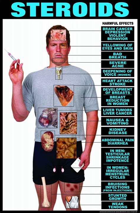 What Have We Learned Dont Do Drugs Elmerjr