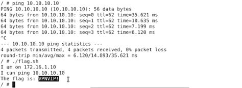 Cybrary Lab Walkthrough Vpn Basics