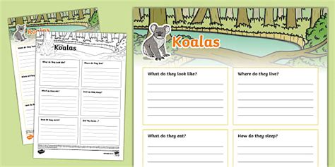 New Koala Fact File Template Lehrer Gemacht Twinkl