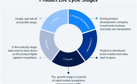 Product Life Cycle Explained Stages Strategies And Examples Theme Loader