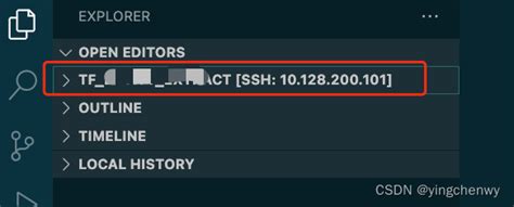 Macos Vscode 配置远程服务器ssh Remote链接，并上传文件文件服务器vscode上传文件到服务器 Csdn博客