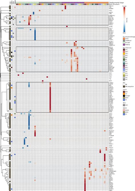Large Scale Genomic Data Mining Implicates Dysregulated Nuclear