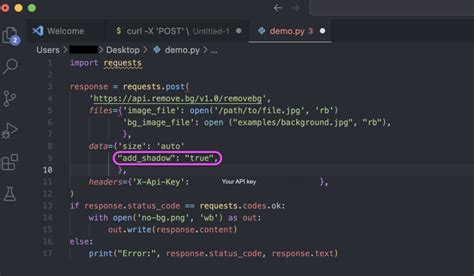 How Can I Customize My Api Results Removebg