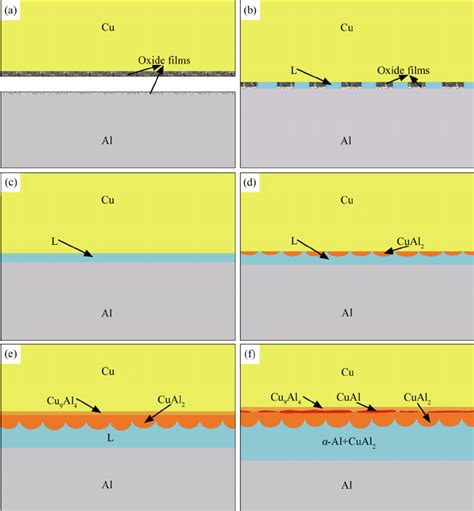 Schematics Of Interfacial Evolution During Isothermal Heating A Download Scientific Diagram