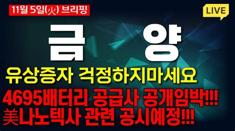 금양 주가전망 유상증자 걱정하지 마세요 美나노텍사 관련 공시예정 Youtube