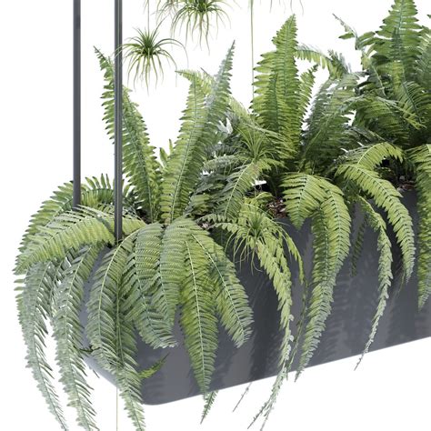 Metal Wall Planters 3d Model For Corona