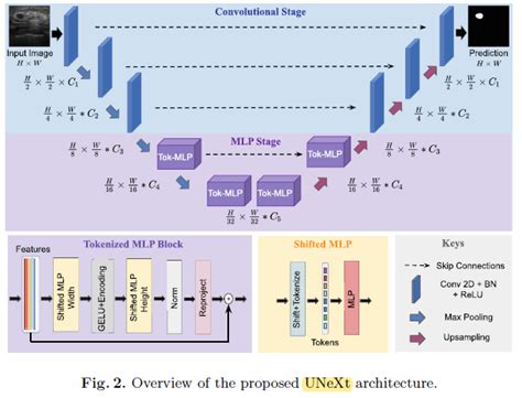 Review — Unext Mlp Based Rapid Medical Image Segmentation Network By