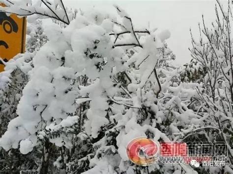 酉陽下雪啦銀裝素裹美翻你 每日頭條