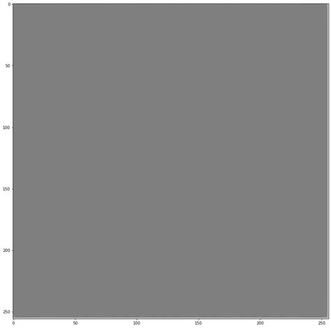 Training Loss Does Not Decrease And Test Set Is Not Working Data