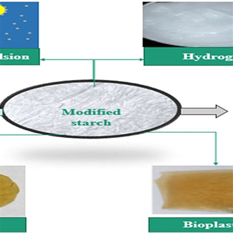 Structure Of Amylose And Amylopectin In Starch Download Scientific