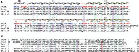 Sequences Of Proteolipids From V And F Atpases 32 They Were Download Scientific Diagram