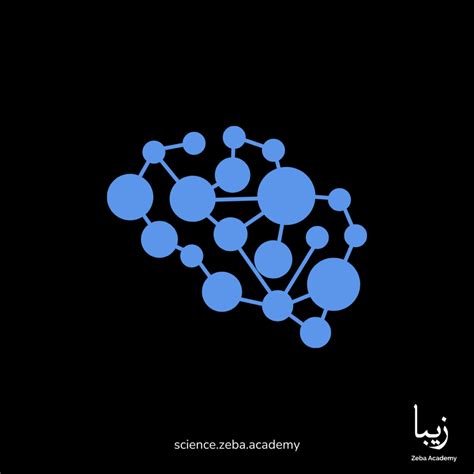 The Social Brain Understanding The Science Of Human Interaction Science By Zeba Academy