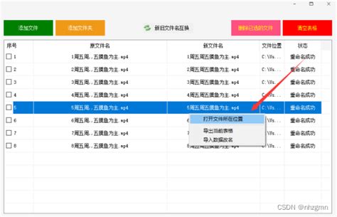 批量重命名 教你使用替换功能 将文件名称中特定符号进行替换 统一替换文件名中一个字母 csdn博客