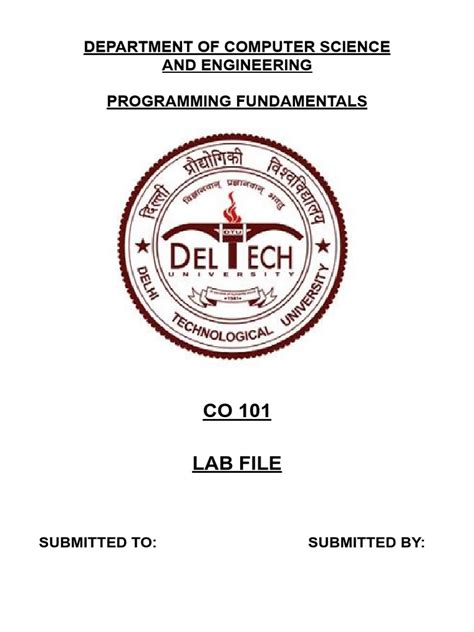 Co 101 Lab File Pdf Programming Computer Program