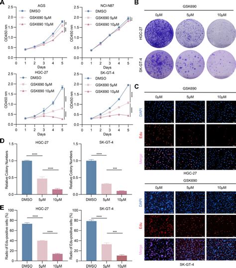 Lsd1 Is A Targetable Vulnerability In Gastric Cancer Harboring Tp53 Frameshift Mutations Pmc