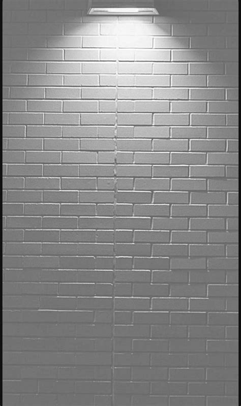 სტუდენტები სტუდენტები Added A New Photo