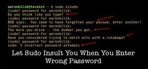 let sudo insult you when you enter incorrect password