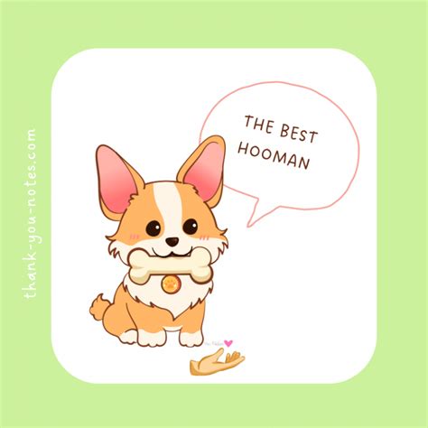 20 Cute Dog Thank You Meme Excellent Affirmations