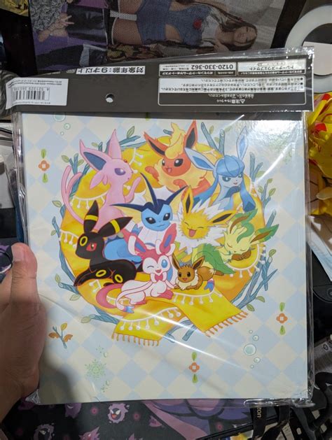 Pokemon Card Eevee Collection File Eevee Collection Refill Binder Pokemon Center Japan