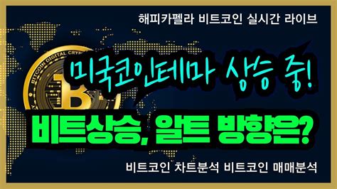 비트코인 실시간 비트코인 상승 중 알트코인 방향성은 미국코인테마 상승 중 12 점심💎비트코인 비트코인실시간