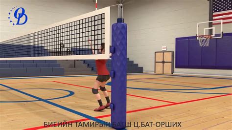 Цахим хичээл Анхан шатны сурагчидад зориулсан Волейболын үндсэн техник Youtube