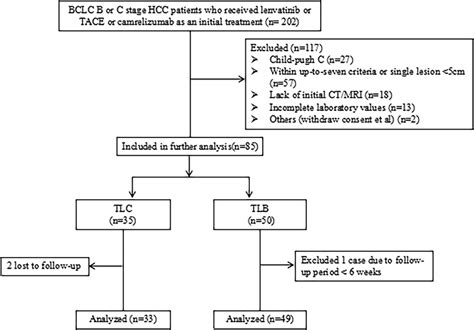 A Total Of 202 Patients Received Tace Or Lenvatinib Or Camrelizumab As