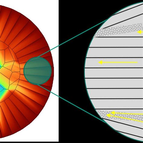 Role Of Grain Boundaries In Textured Secondary Particles Ions Download Scientific Diagram