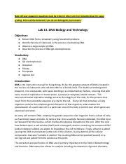 Lab DNA Biology And Technology Docx Pdf Note All Your Answers To Questions Must Be In