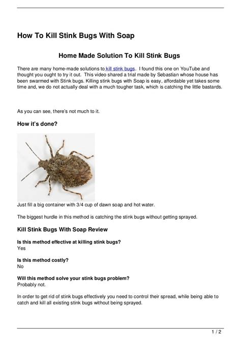 How To Kill Stink Bugs With Soap